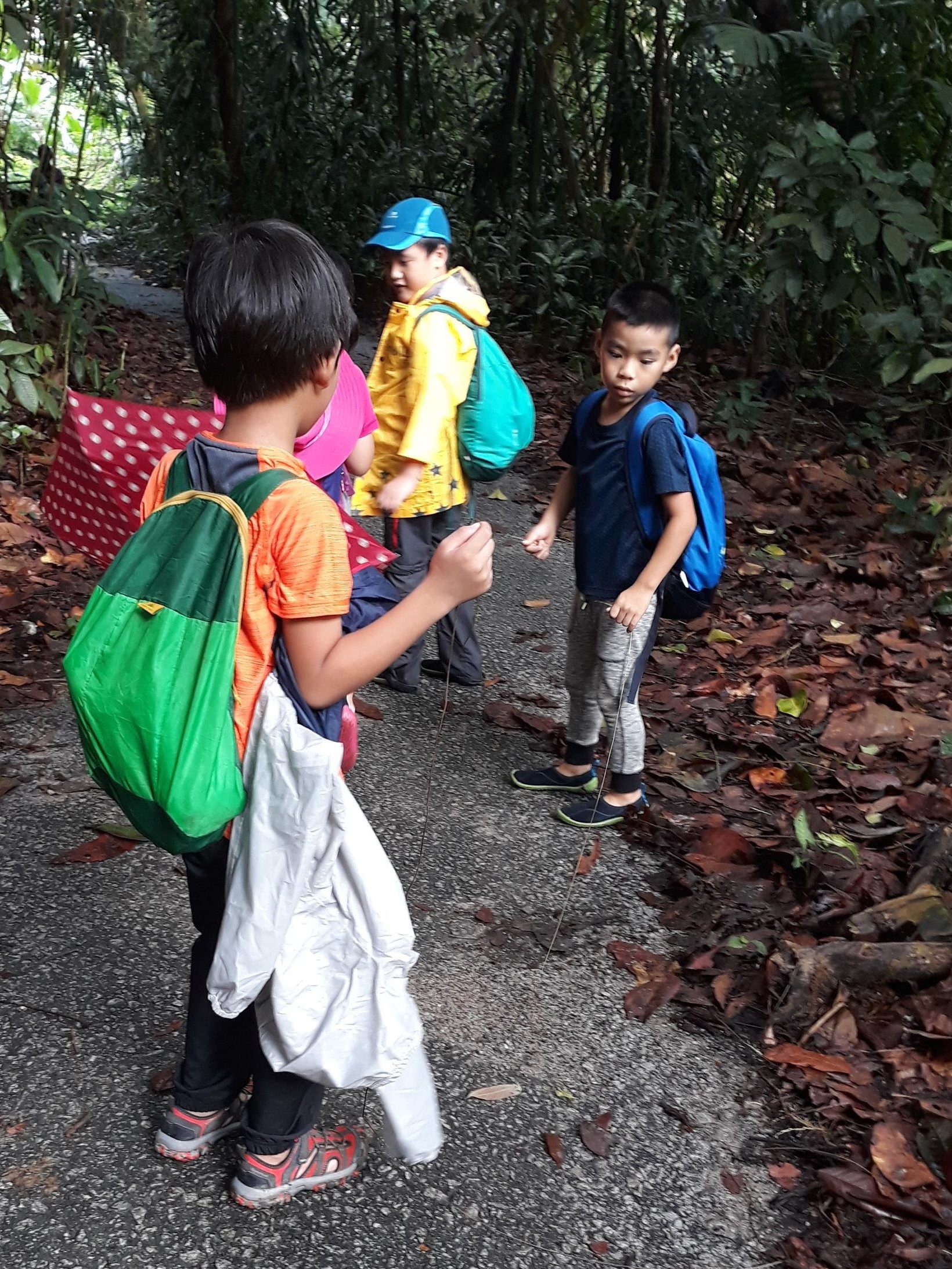 Nature Walk | Forest School Philippines